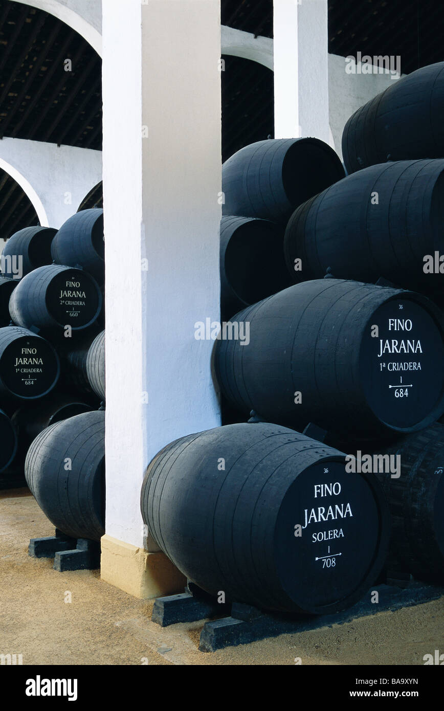 Sherry barrels Spain Stock Photo - Alamy