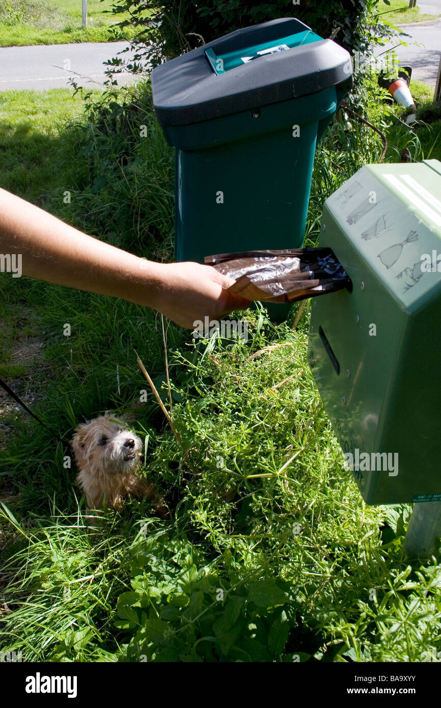 owner putting dog faeces in public bin Stock Photo - Alamy
