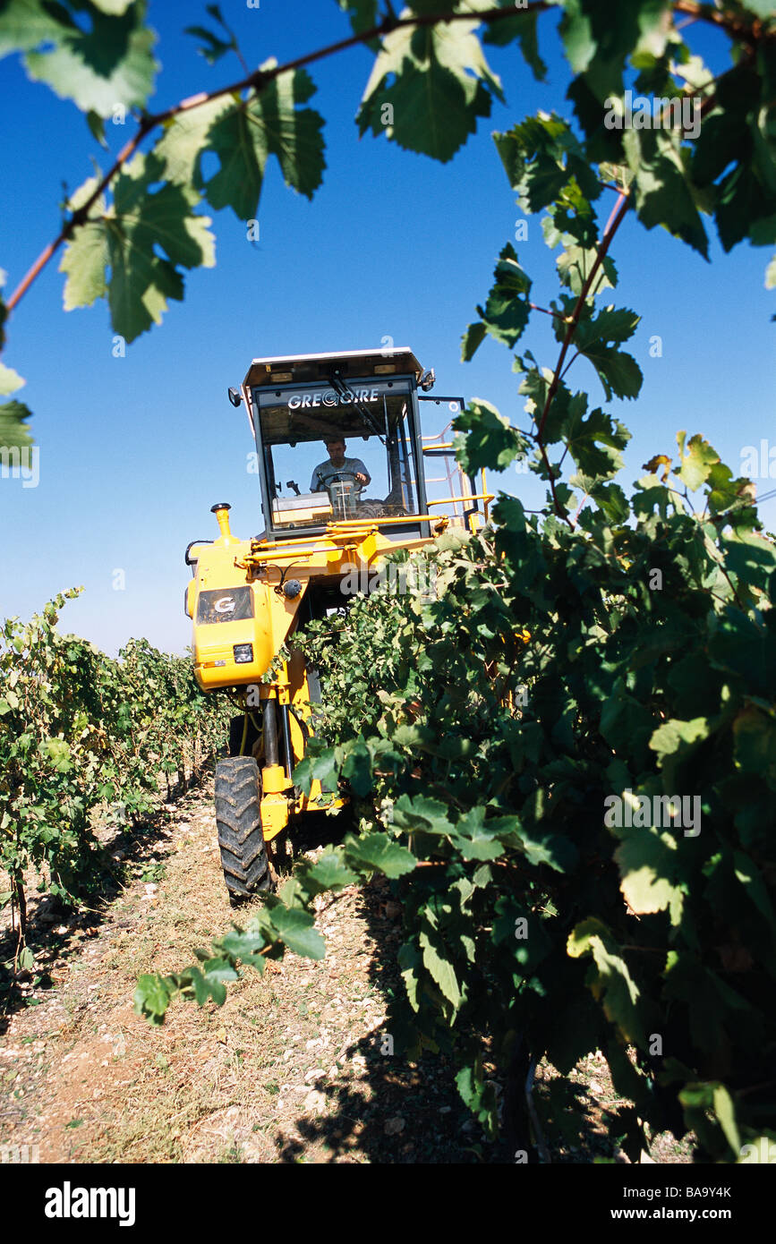 A tractor in a vineyard Spain Stock Photo - Alamy