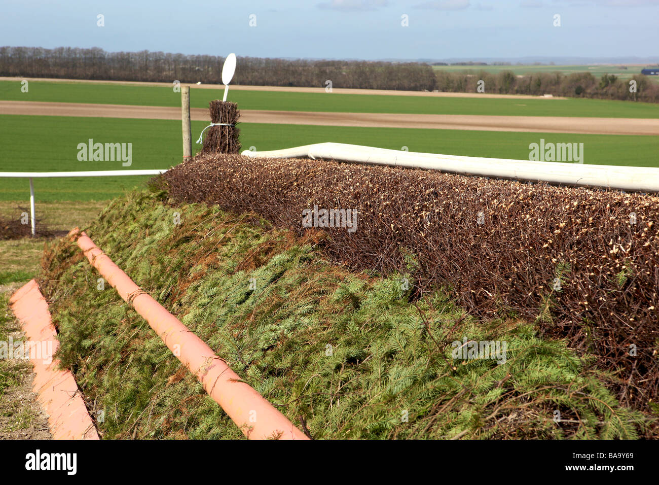 Beech Hurdle fence at Point to Point Race Stock Photo - Alamy