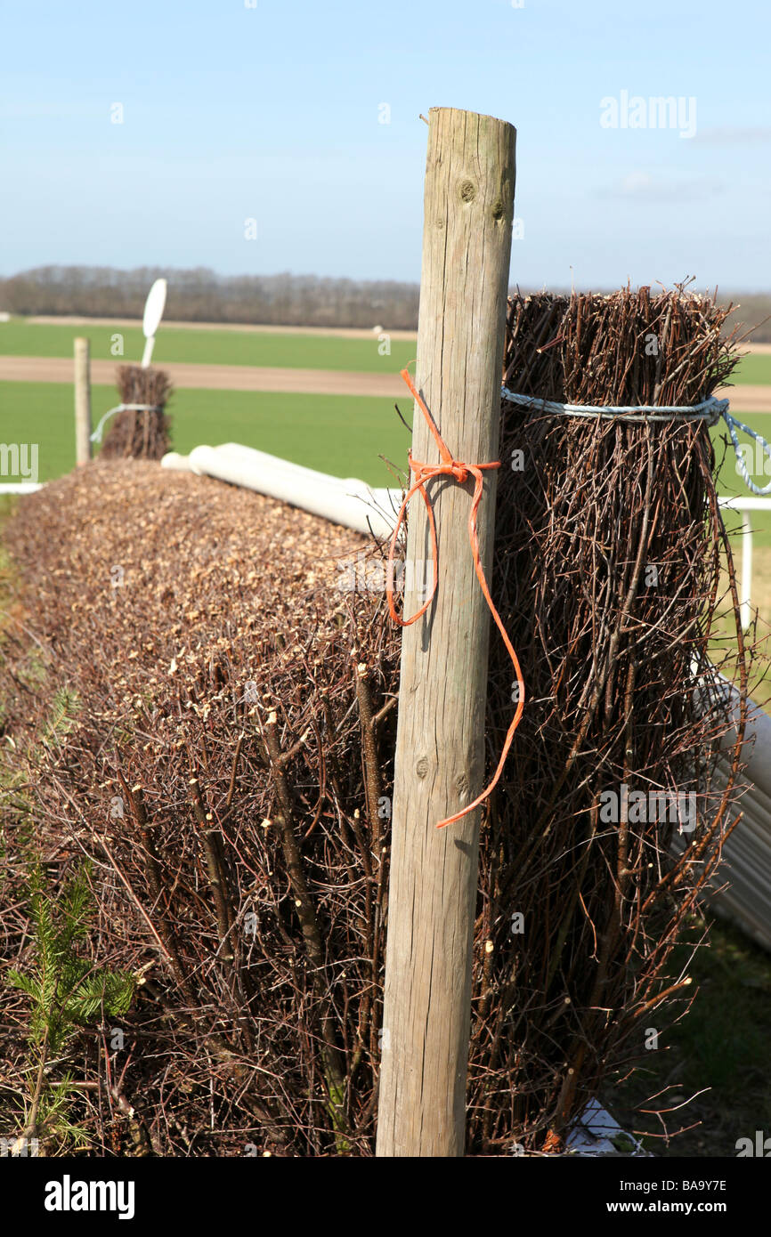 Beech Hurdle fence at Point to Point Race Stock Photo - Alamy
