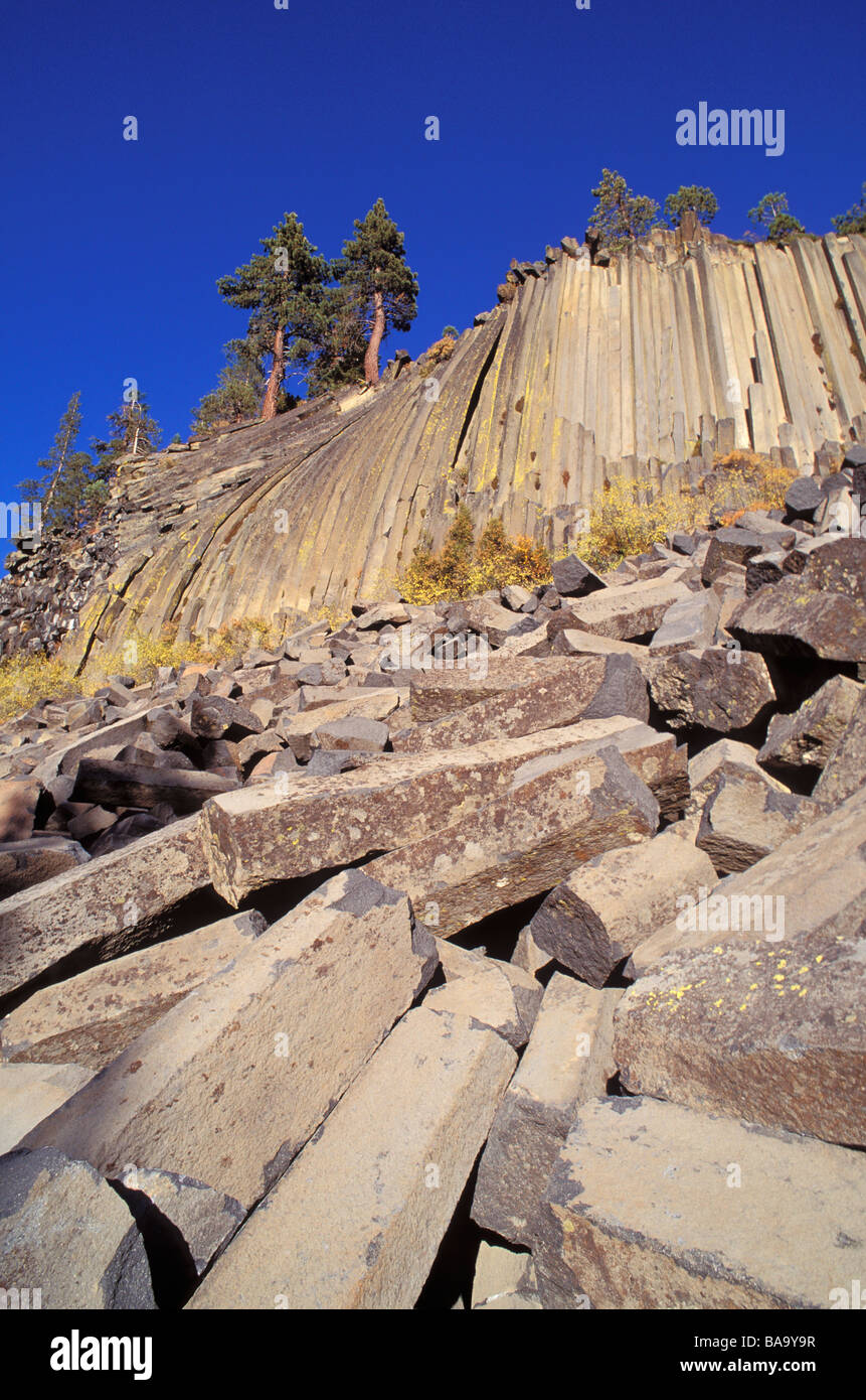 Afternoon light on cliff and blocks of columnar basalt at Devil's ...