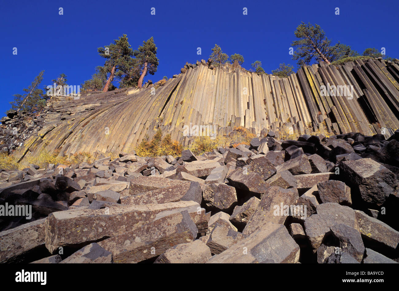 Afternoon light on cliff and blocks of columnar basalt at Devil's ...