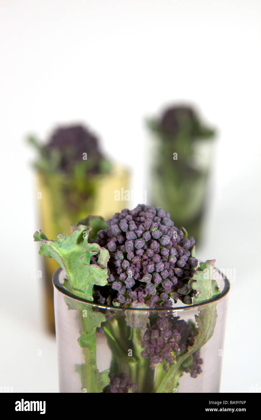Purple Sprouting Broccoli Stock Photo - Alamy