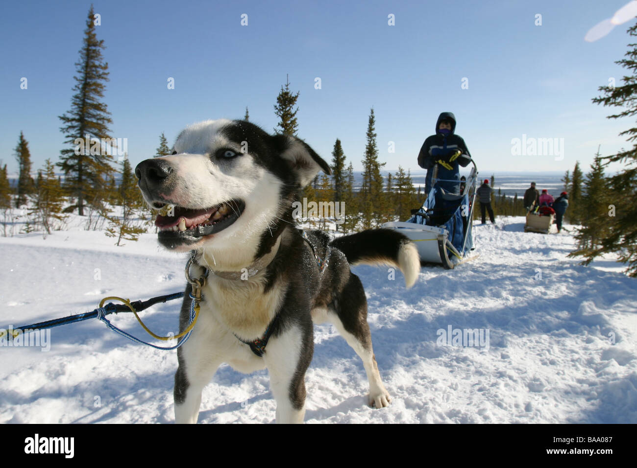First nations people yukon hi-res stock photography and images - Alamy