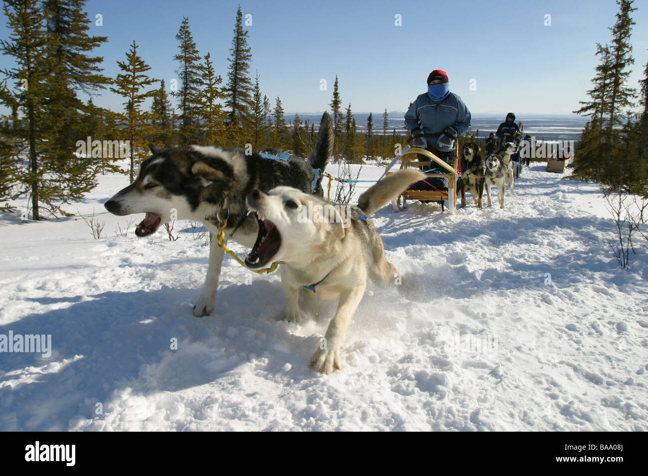A person rides on a dog sled near the remote fly-in First Nation hamlet ...