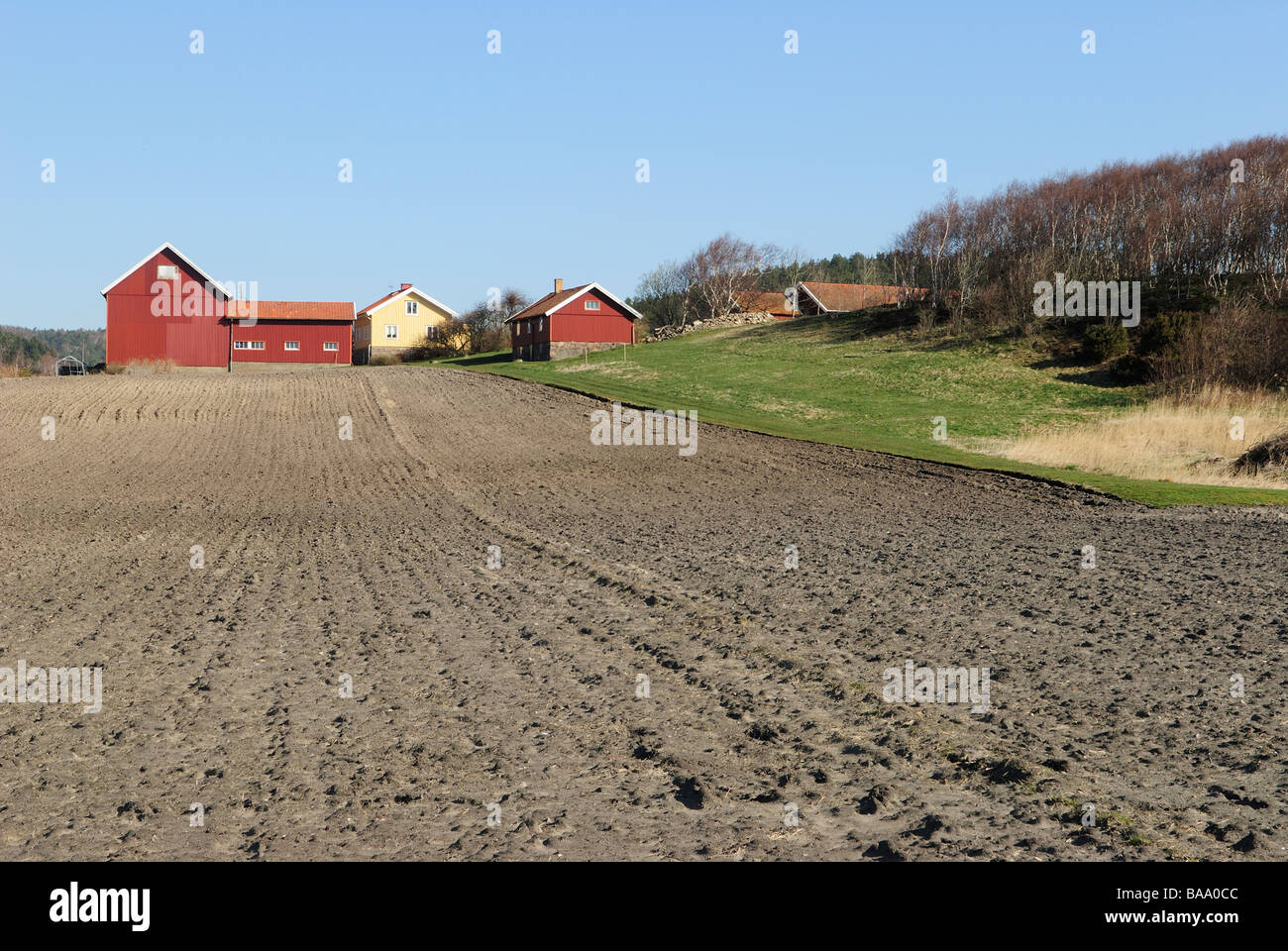A farm Sweden Stock Photo - Alamy
