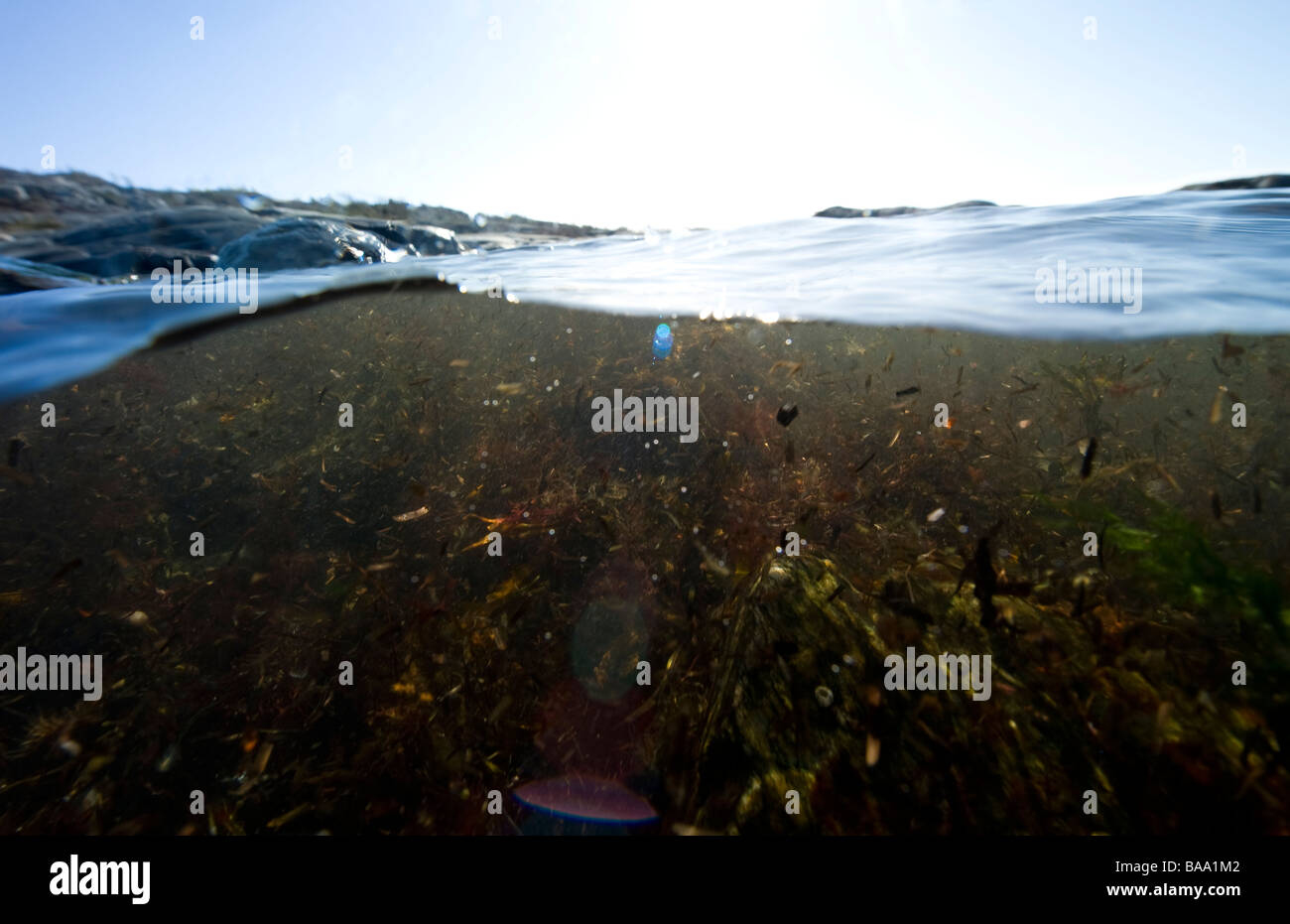 Above and below water hi-res stock photography and images - Alamy