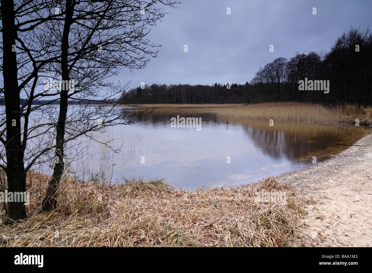Beaches in sweden hi-res stock photography and images - Alamy