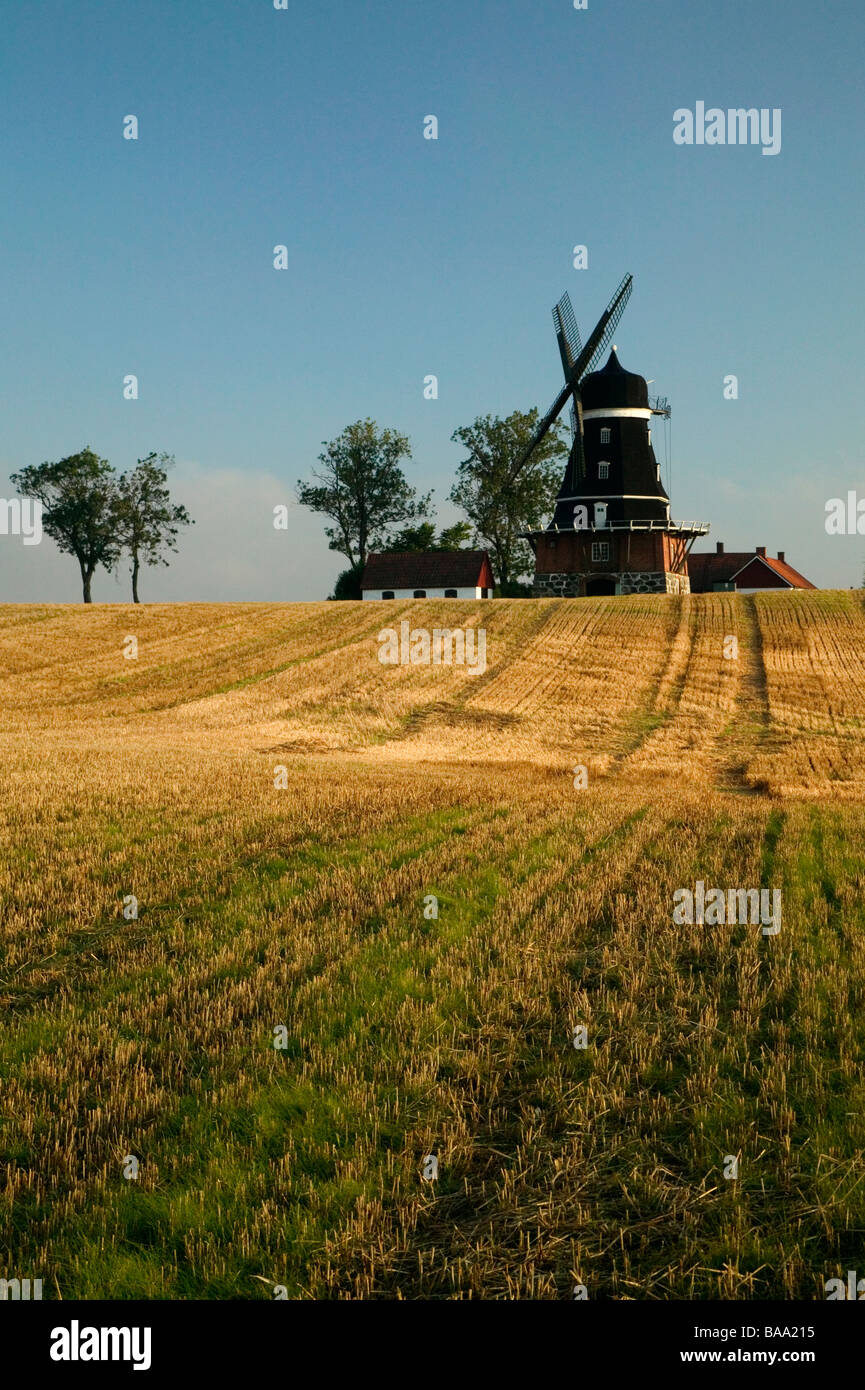 Non milled hi-res stock photography and images - Alamy