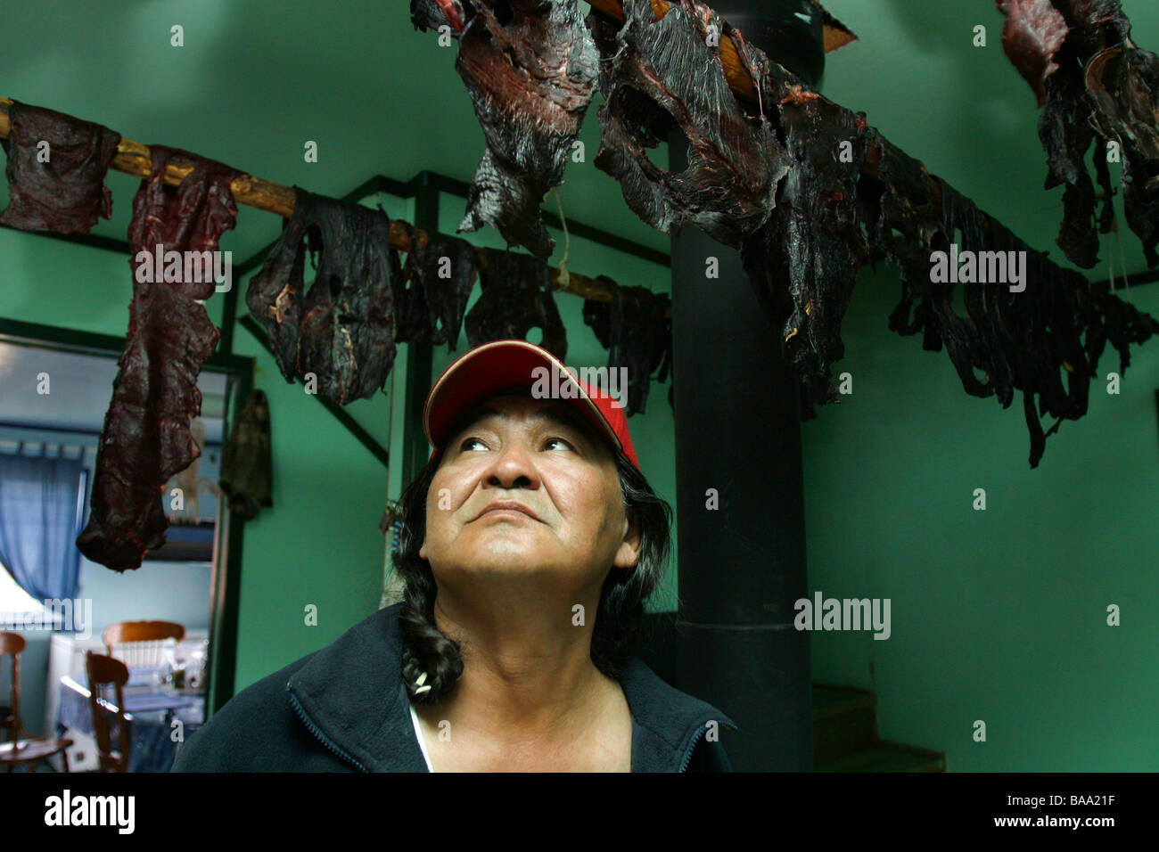 Indian dried caribou meat hi-res stock photography and images - Alamy