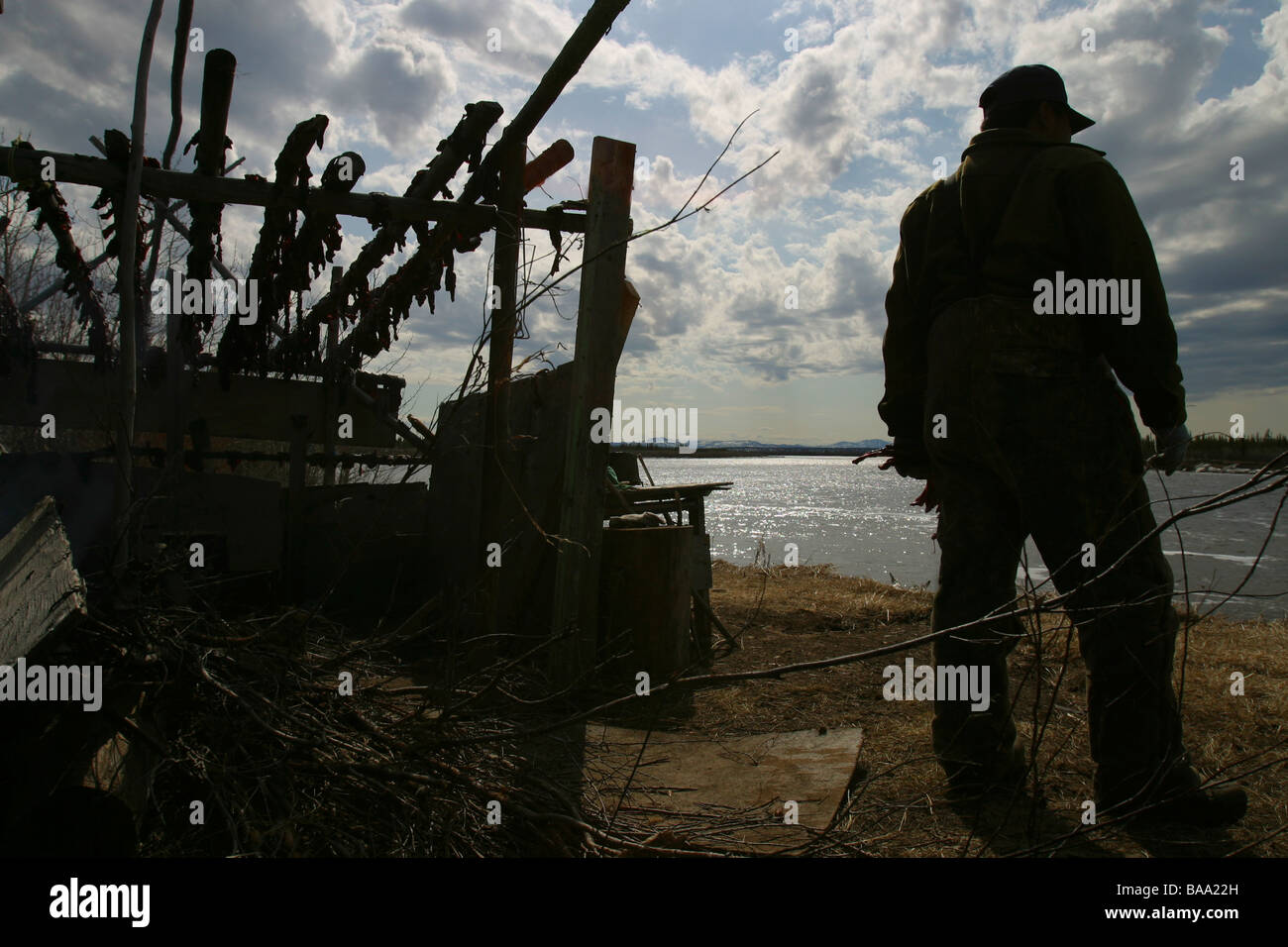 A First Nations hunter stands next to dried caribou on the banks of the ...