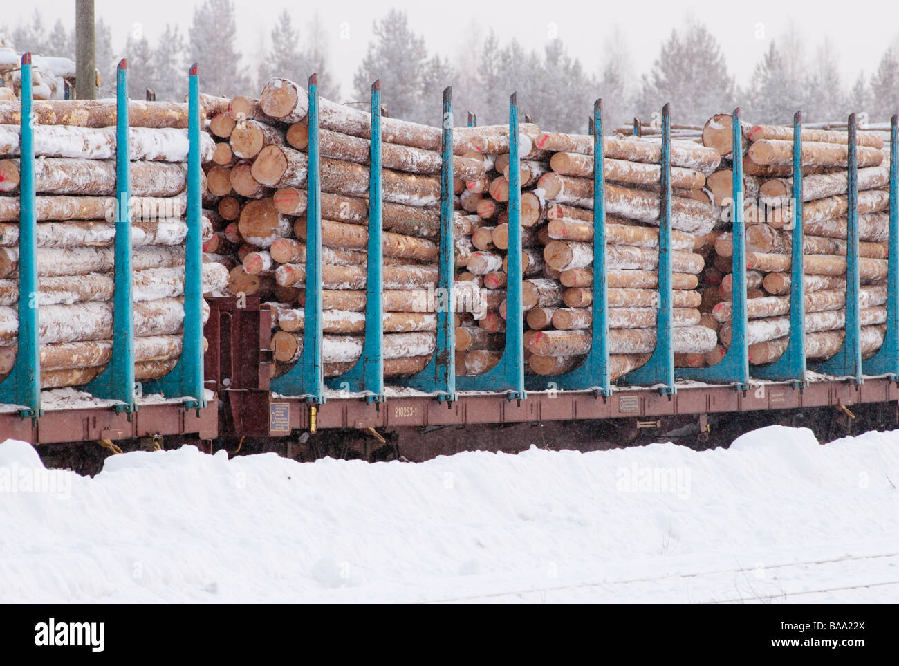 Timber cargo in train Stock Photo - Alamy