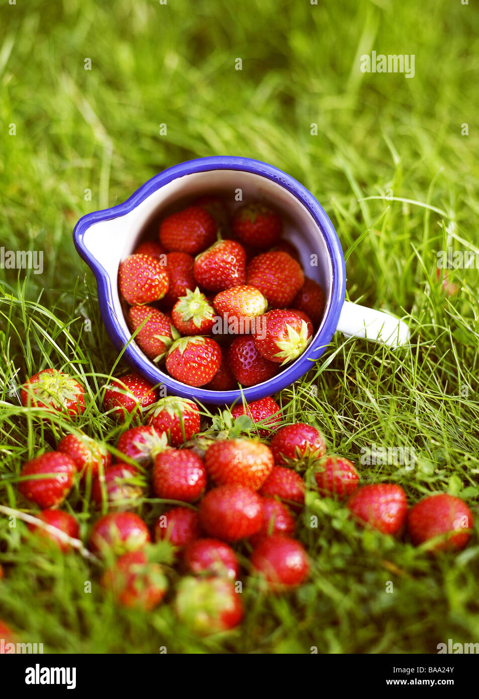 Swedish strawberries hi-res stock photography and images - Alamy