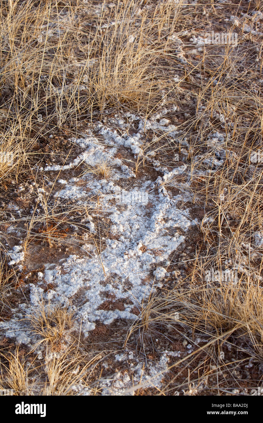 A dried up lake bed caused by climate change induced drought in ...