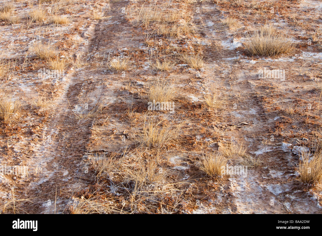 A dried up lake bed caused by climate change induced drought in ...