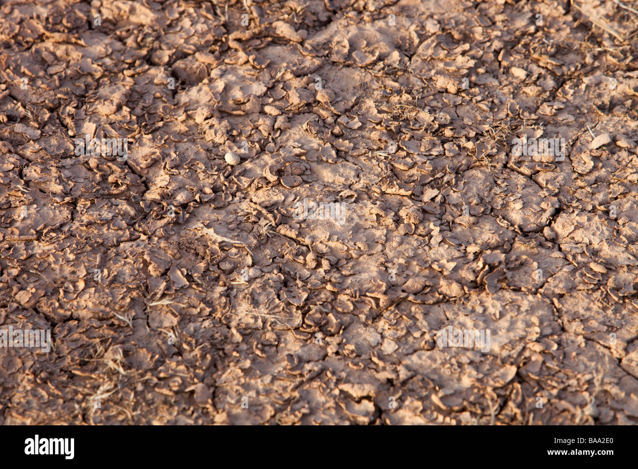 A dried up lake bed caused by climate change induced drought in ...