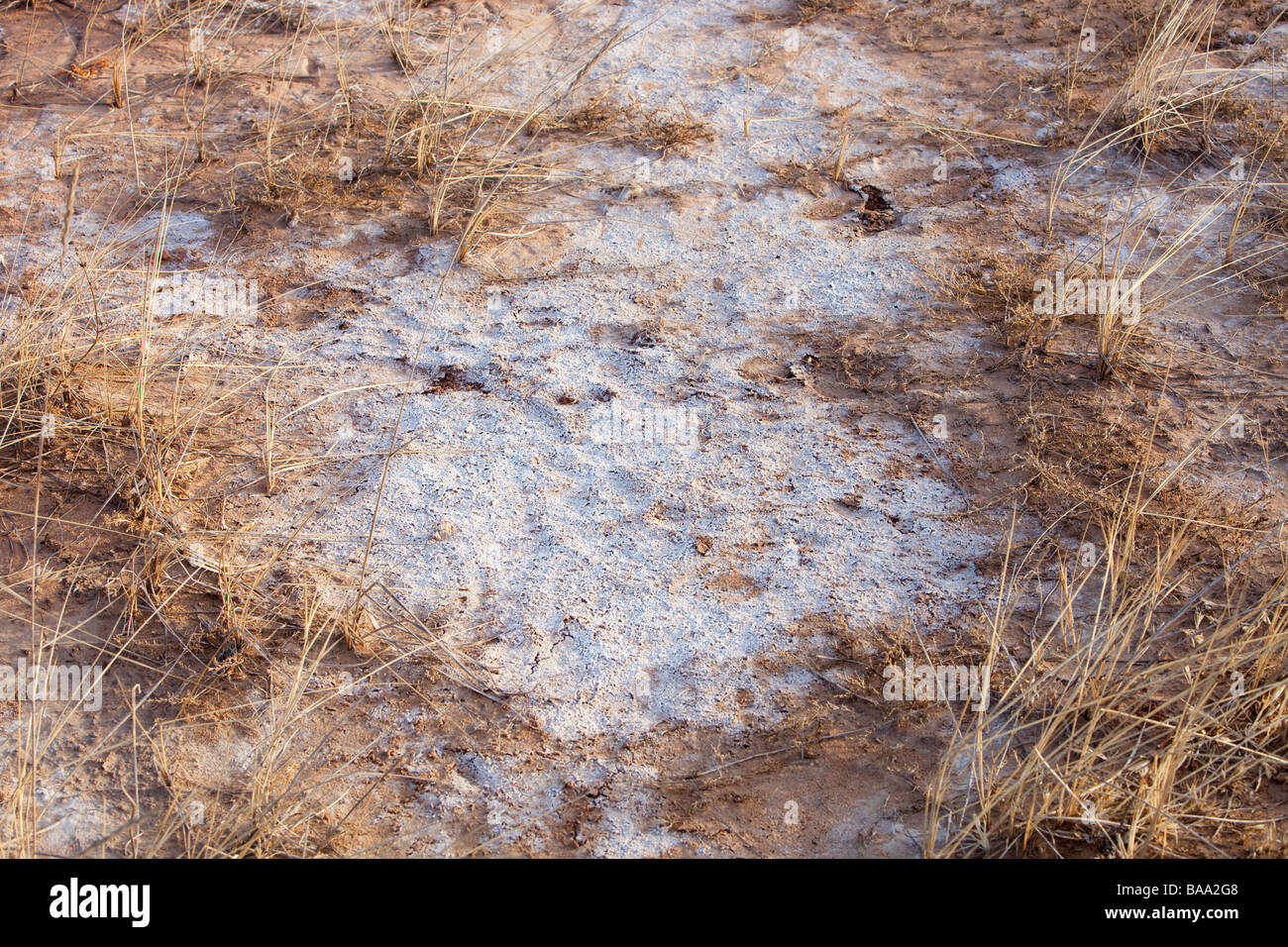 A dried up lake bed caused by climate change induced drought in ...