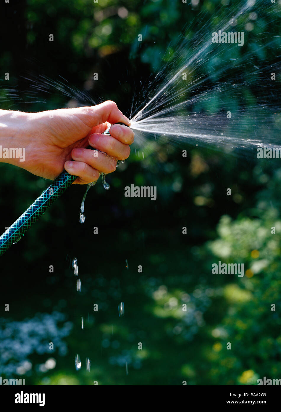 A hand holding a water hose, Enskede, Sweden Stock Photo - Alamy