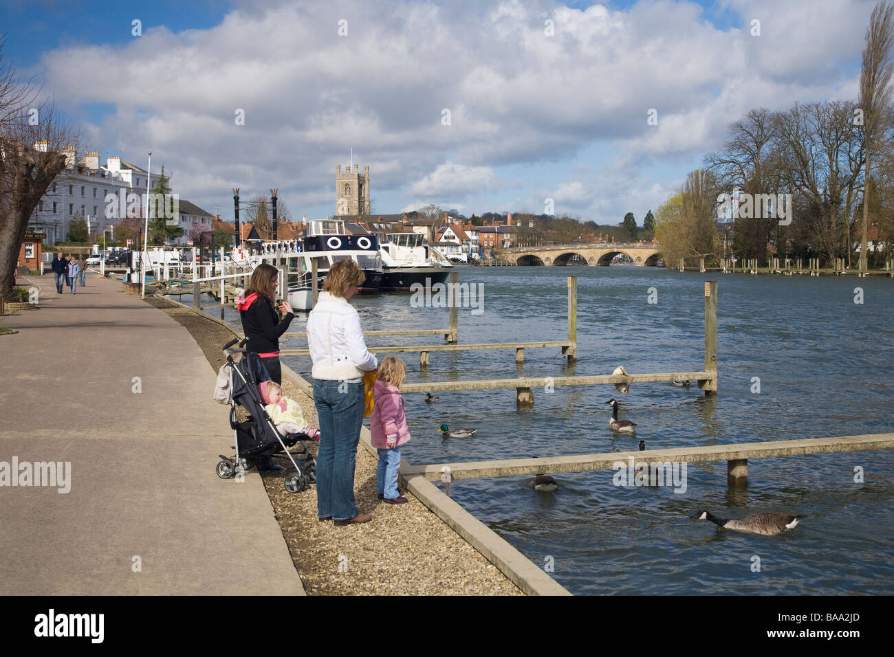 Feeding ducks and geese on the River Thames in spring Henley-on-Thames ...