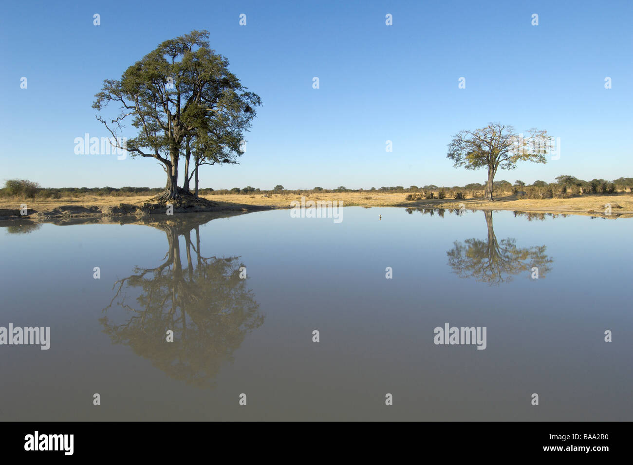 Hwange National Park Zimbabwe biggest National Park in country semi ...