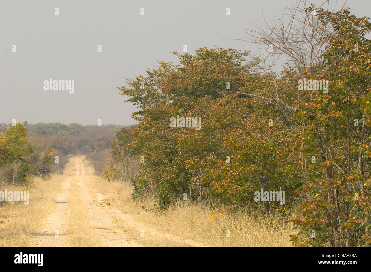 Hwange National Park Zimbabwe biggest National Park in country semi ...