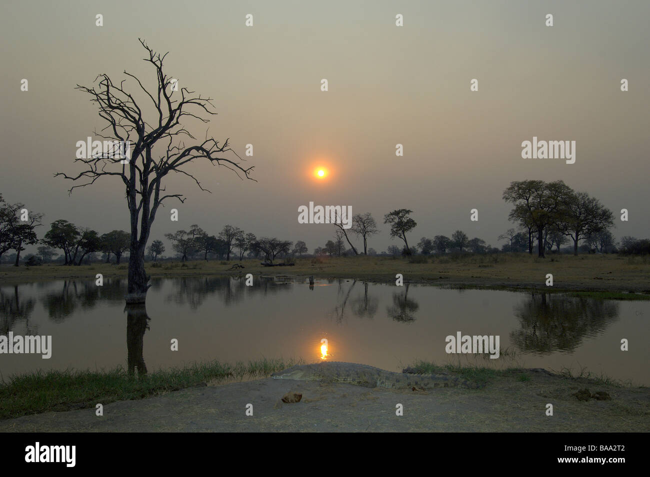 Hwange National Park Zimbabwe biggest National Park in country semi ...