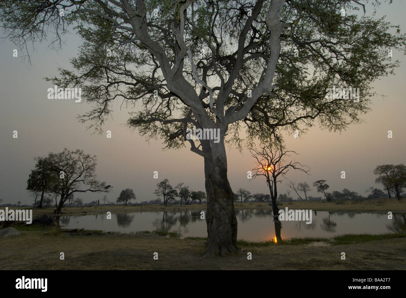 Hwange National Park Zimbabwe biggest National Park in country semi ...