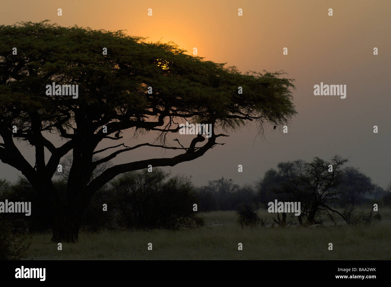 Hwange National Park Zimbabwe biggest National Park in country semi ...