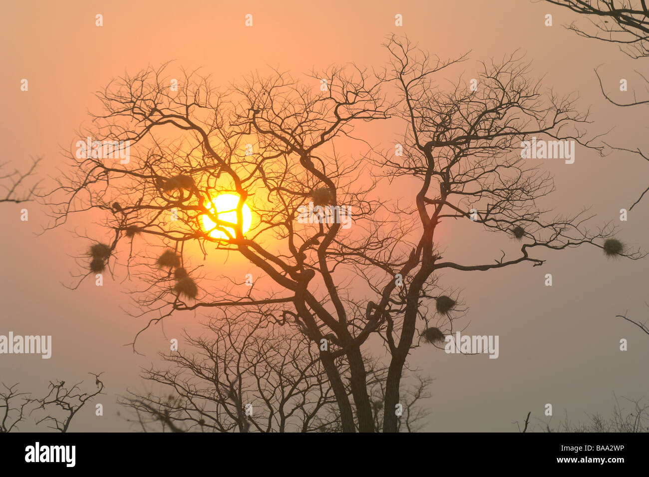 Hwange National Park Zimbabwe biggest National Park in country semi ...