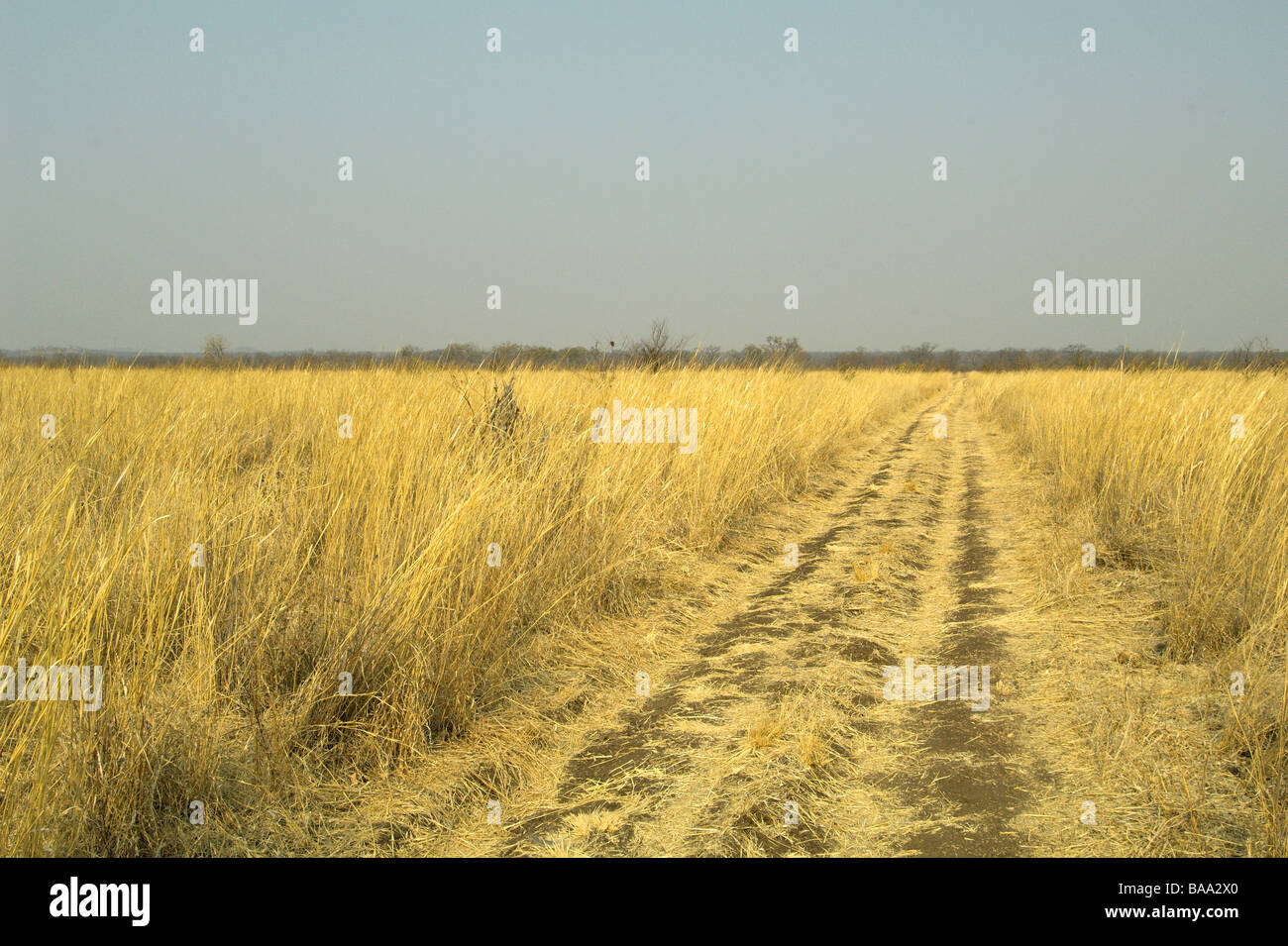 Hwange National Park Zimbabwe biggest National Park in country semi ...