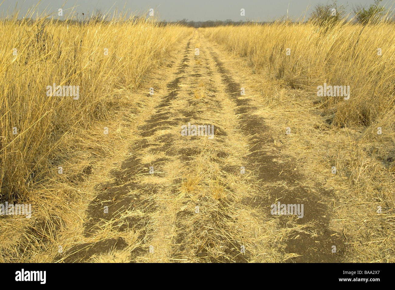 Hwange National Park Zimbabwe biggest National Park in country semi ...