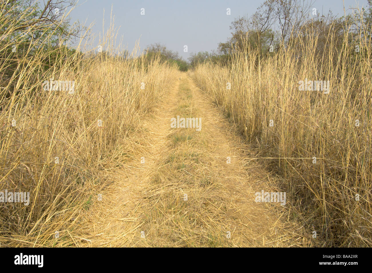 Hwange National Park Zimbabwe biggest National Park in country semi ...