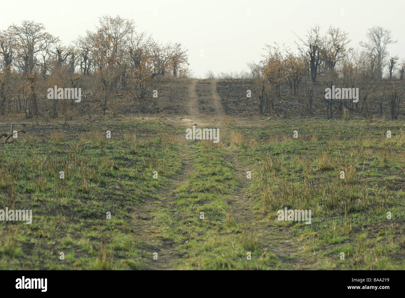 Hwange National Park Zimbabwe biggest National Park in country semi ...