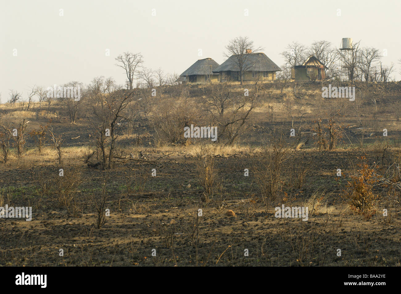Hwange National Park Zimbabwe biggest National Park in country semi ...