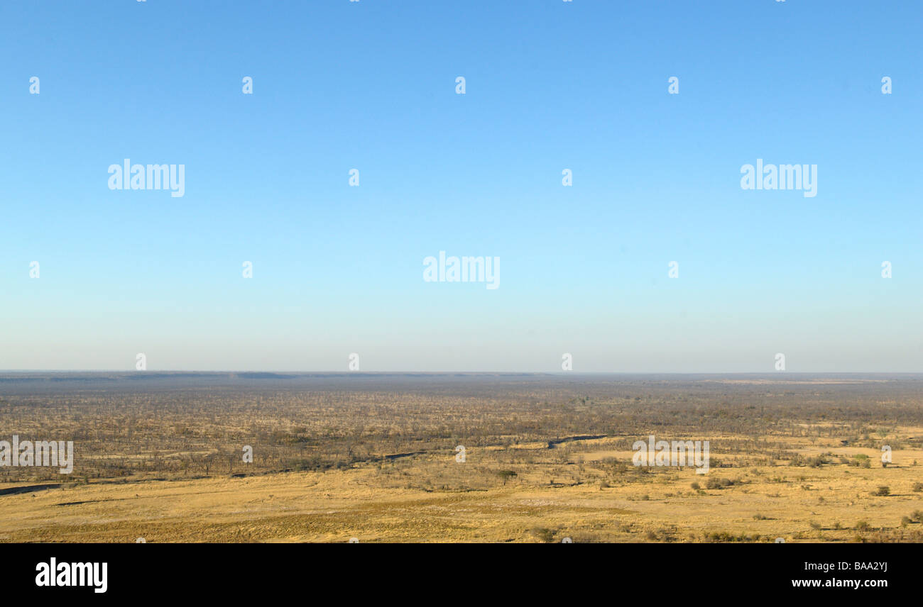 Great victoria desert and animal hi-res stock photography and images ...