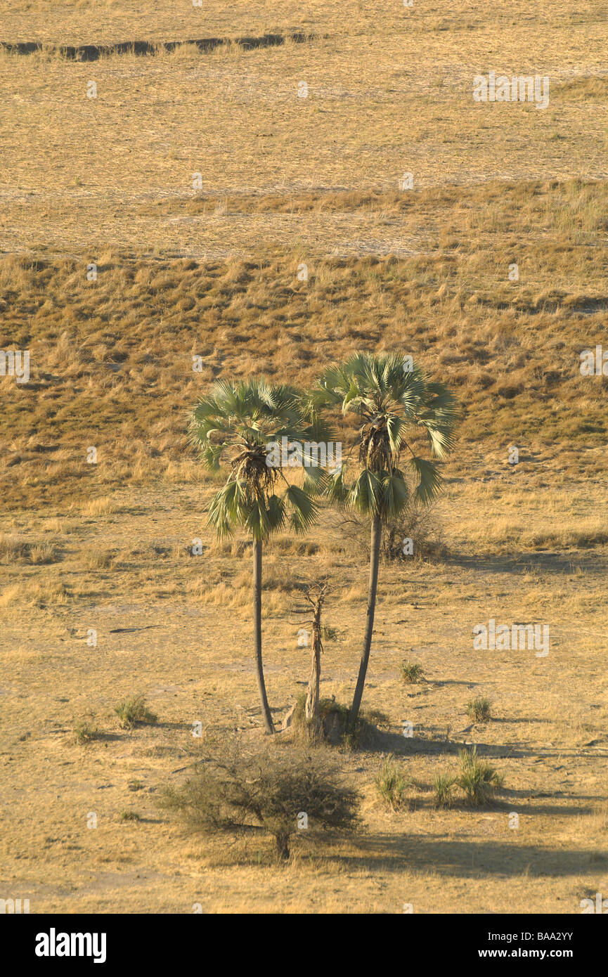 Hwange National Park Zimbabwe biggest National Park in country semi ...