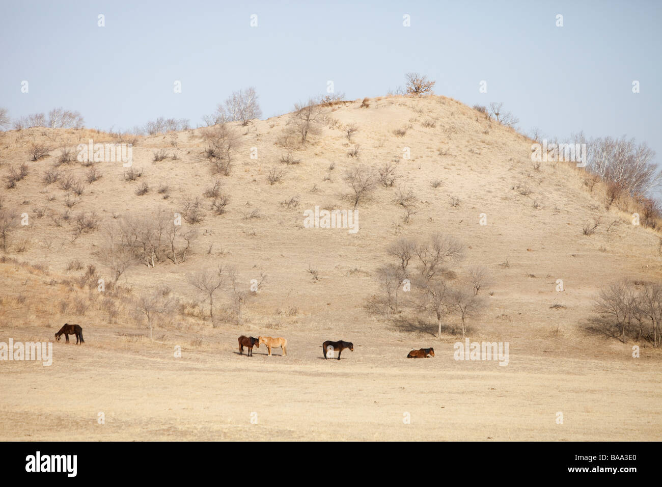 Desertification hi-res stock photography and images - Alamy