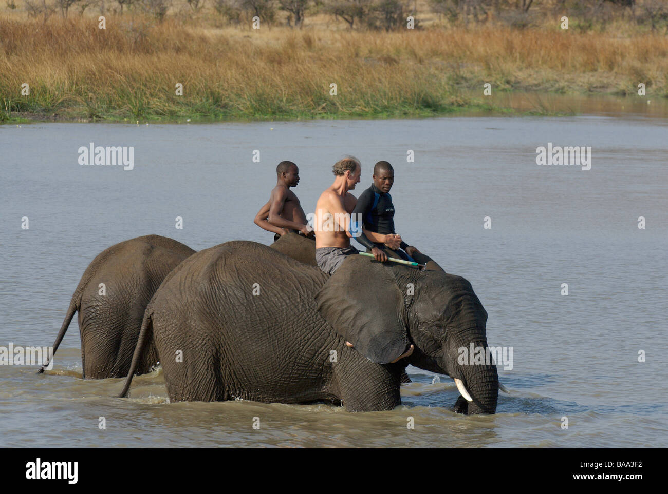 African elephant man hi-res stock photography and images - Alamy
