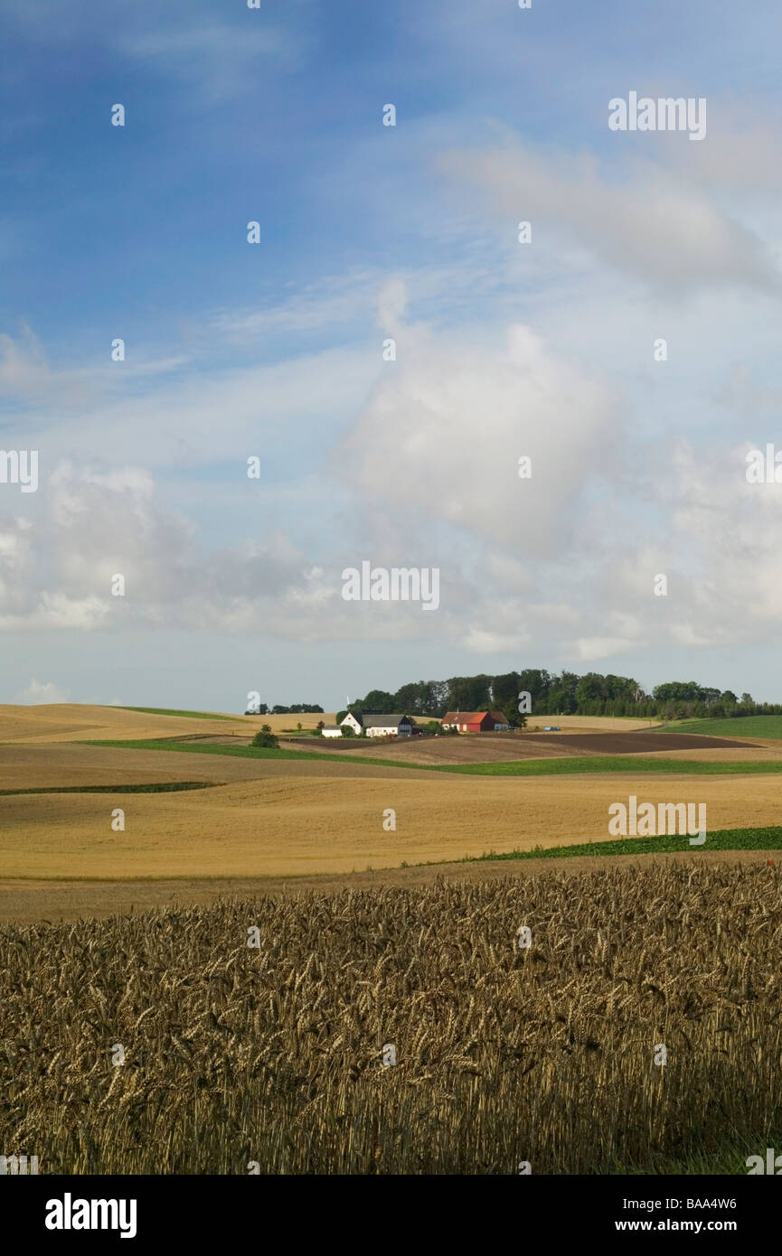S in the fields hi-res stock photography and images - Alamy