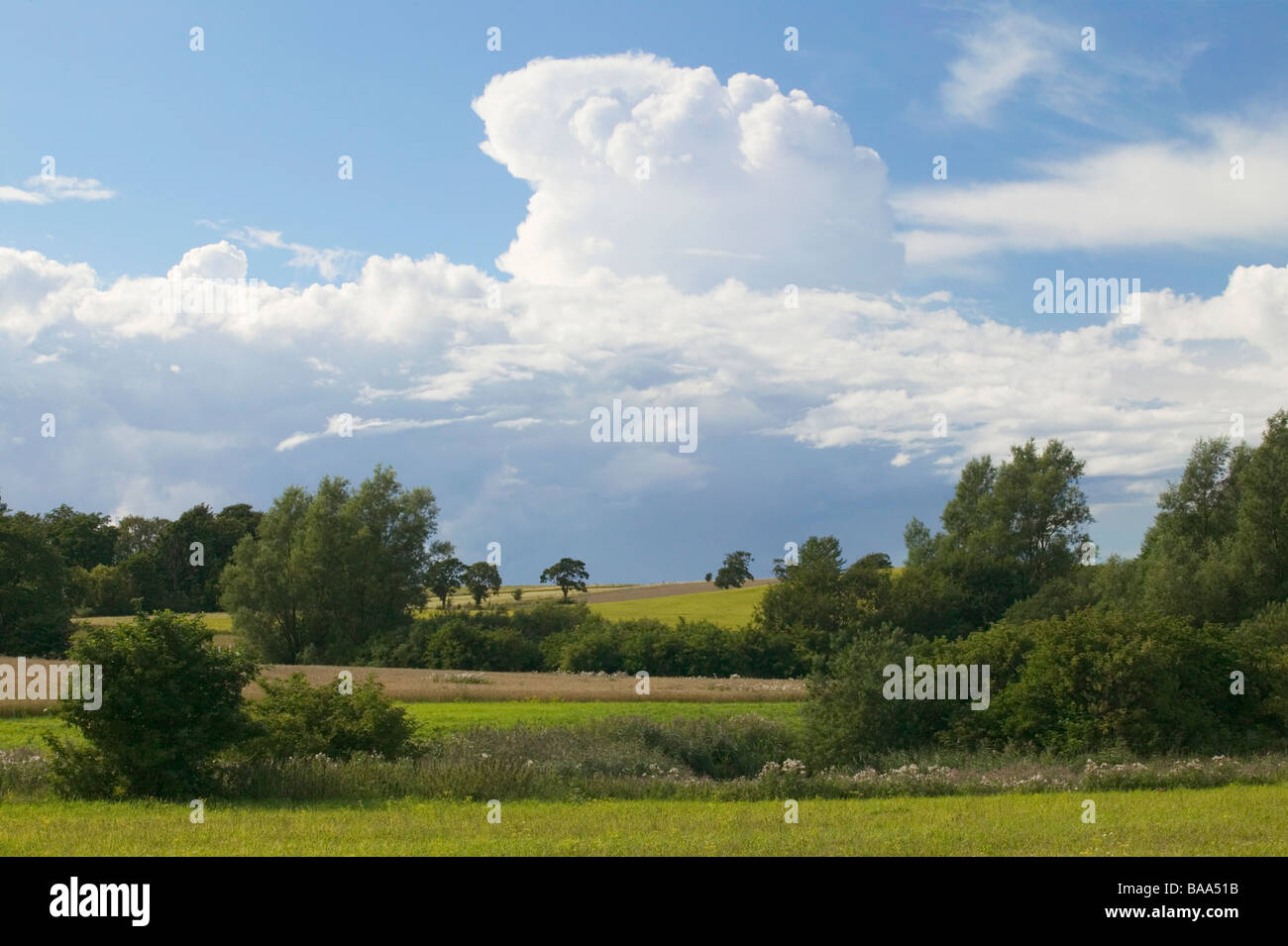 Swedish countryside Molleberga Skane Sweden Stock Photo - Alamy