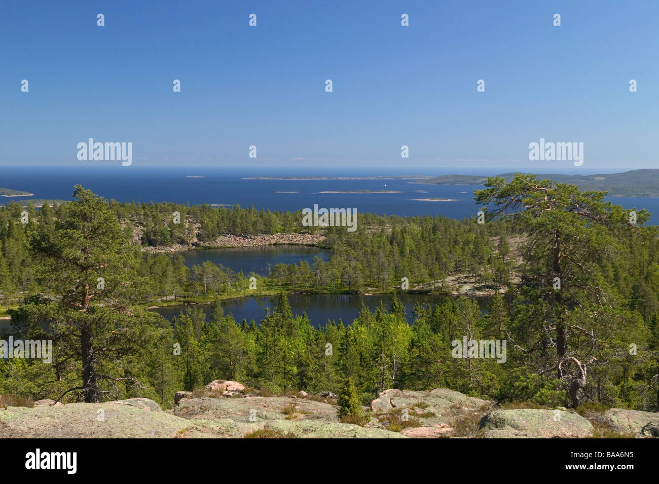 Skuleskogen national park Angermanland Sweden Stock Photo - Alamy