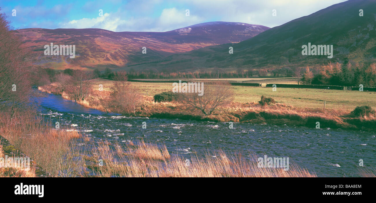 Source of river tweed hi-res stock photography and images - Alamy
