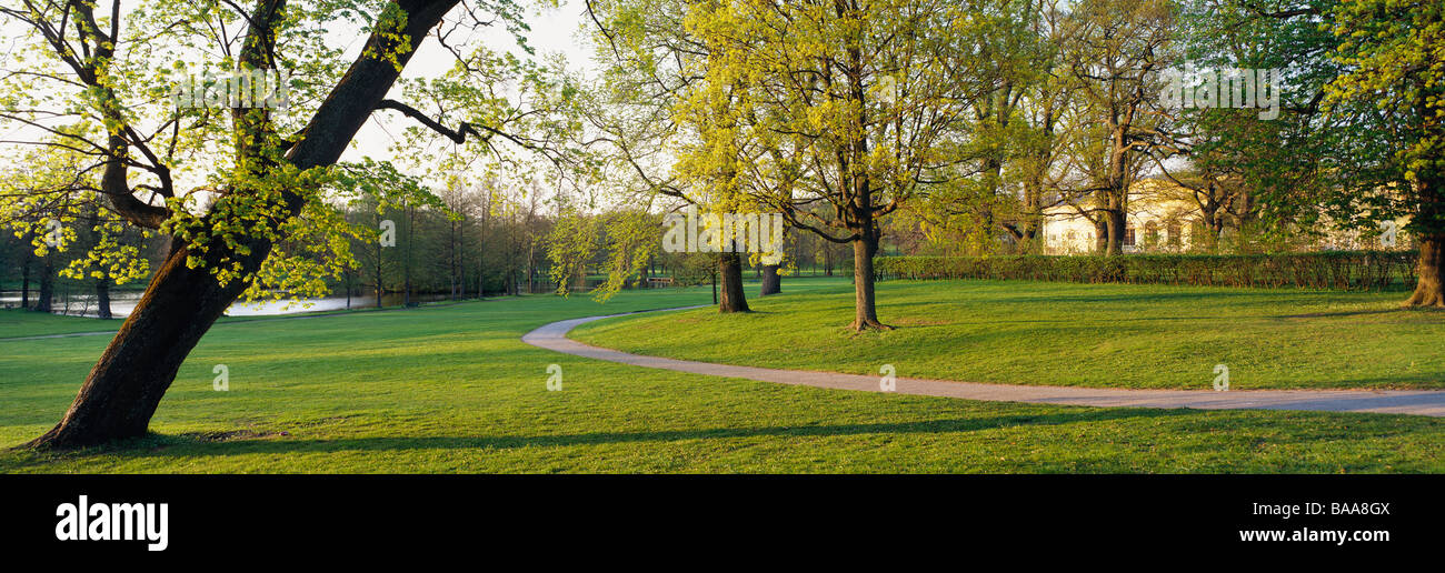 Tree amid grassland hi-res stock photography and images - Alamy