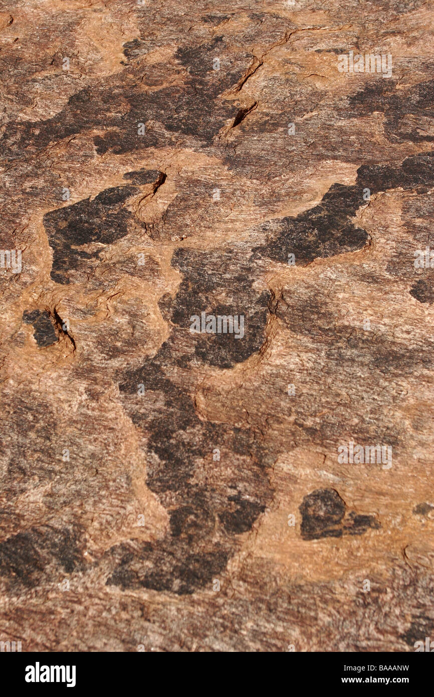 Abstract rock patterns hi-res stock photography and images - Alamy