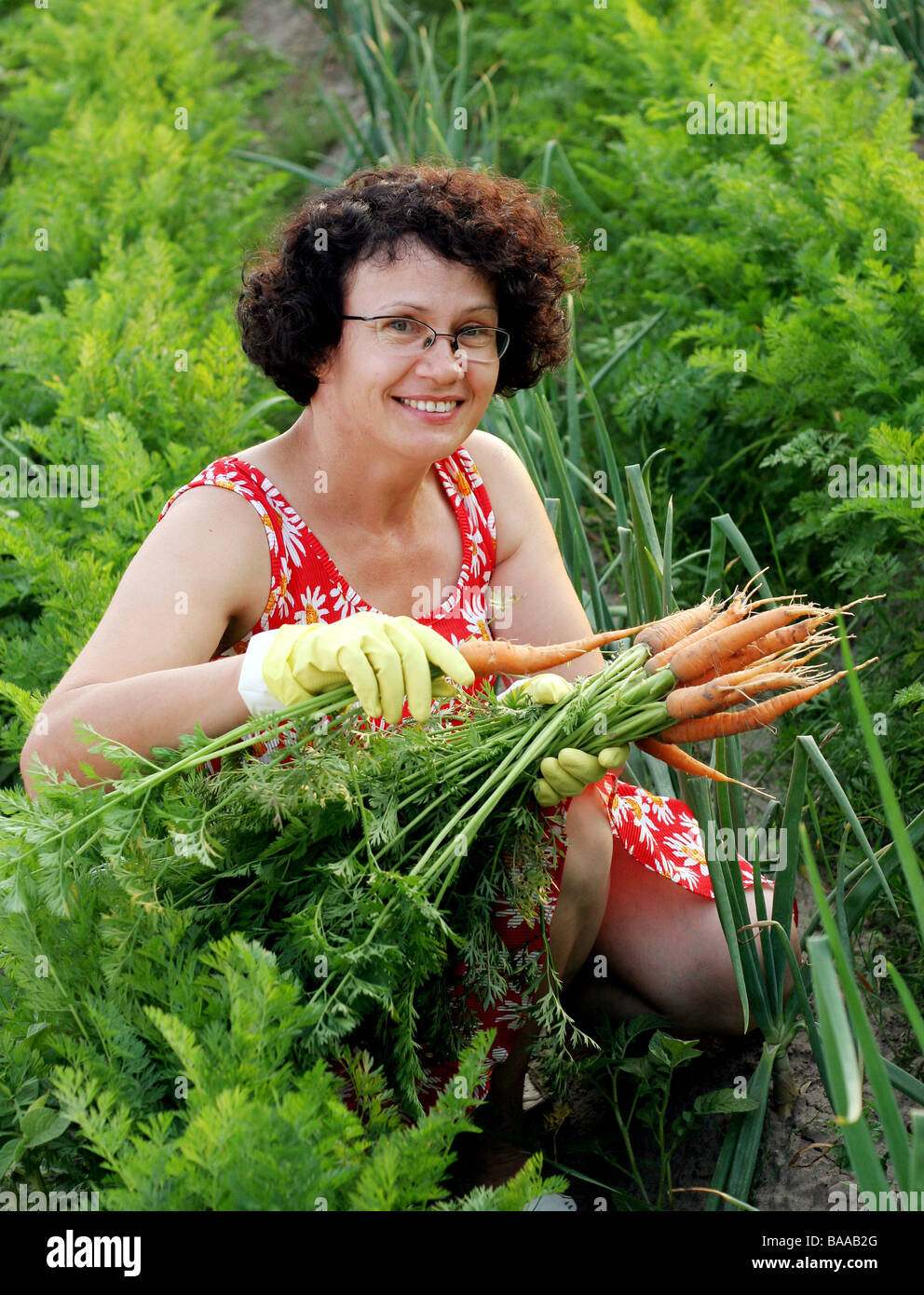 Woman picking vegetables in the garden Stock Photo - Alamy