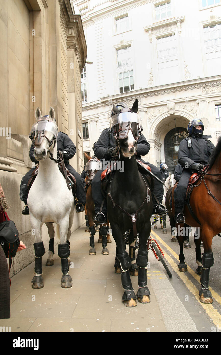 Riot police horses hi-res stock photography and images - Alamy