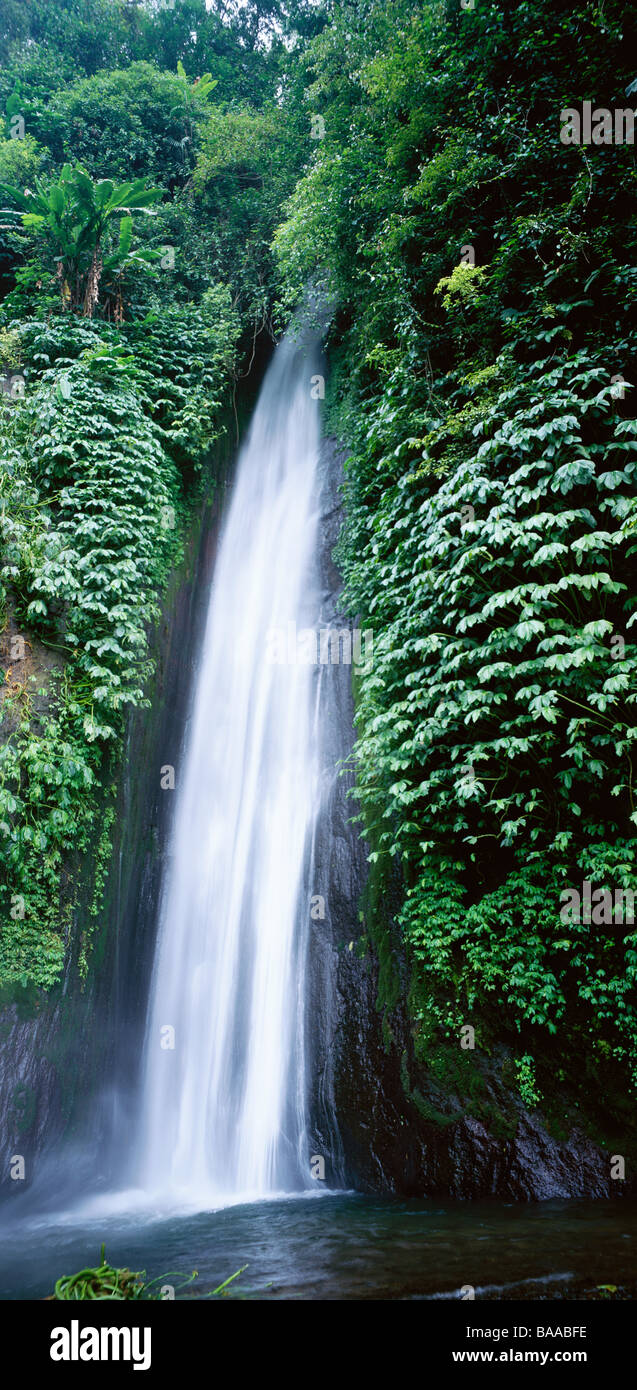 Waterfall in forest Stock Photo - Alamy