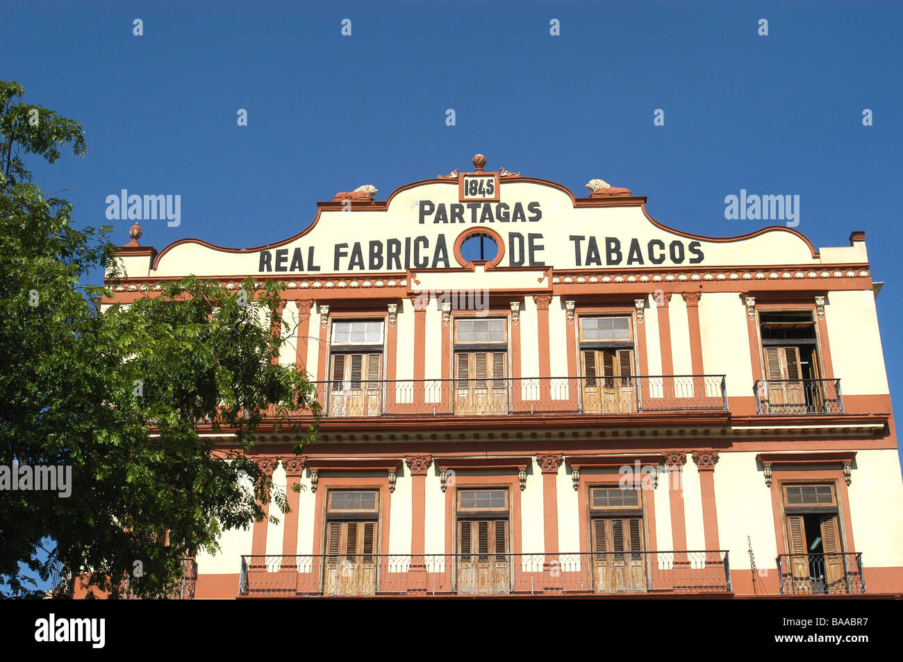 Partagas cigars hi-res stock photography and images - Alamy