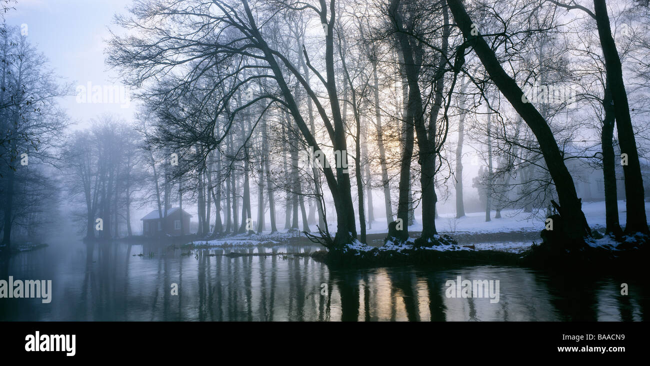 Reflection of trees on water Stock Photo - Alamy